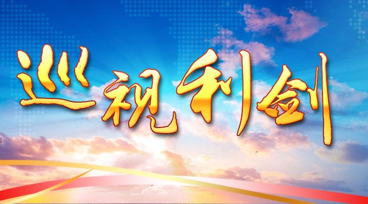 巡视利剑 - 快懂百科