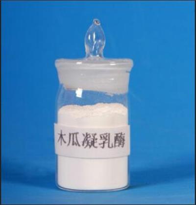 凝乳酶 - 快懂百科