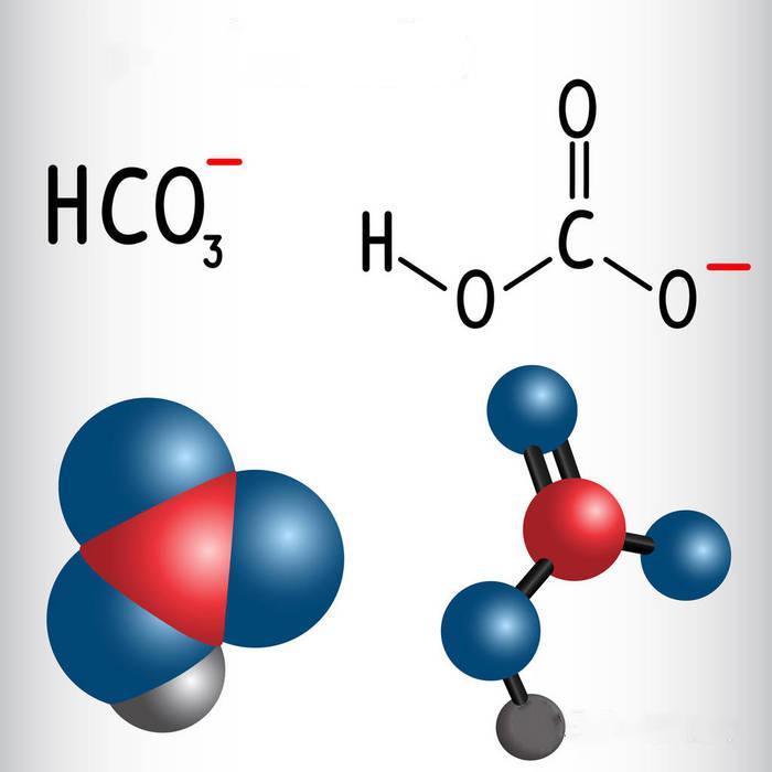 碳酸氢根 - 快懂百科