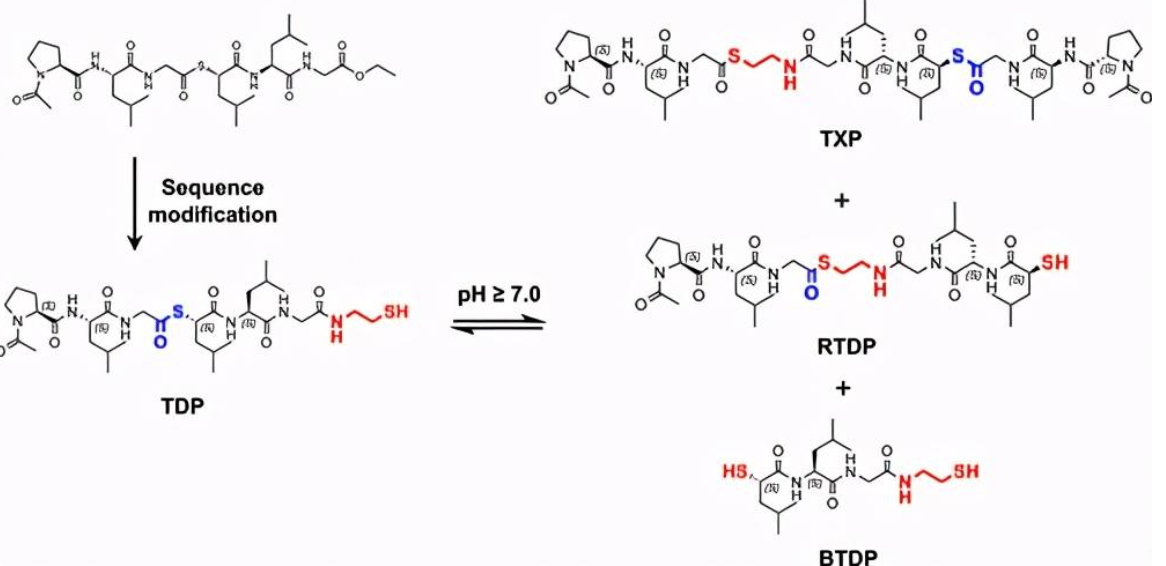 酯交换反应 - 快懂百科
