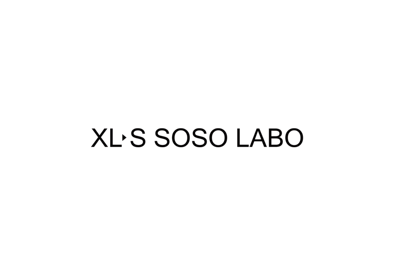 XL·S SOSO LABO - 快懂百科