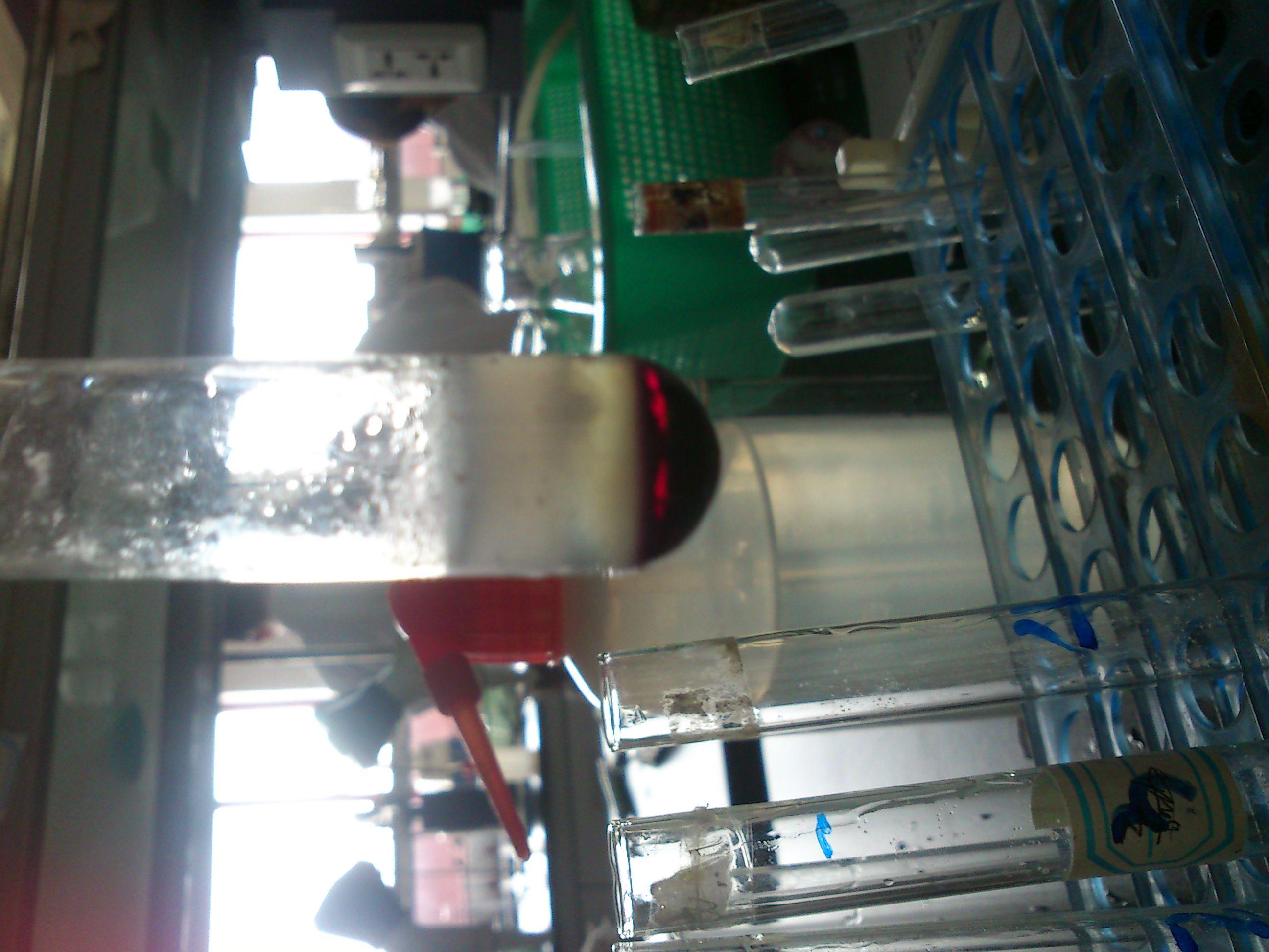 Molish反应 - 快懂百科